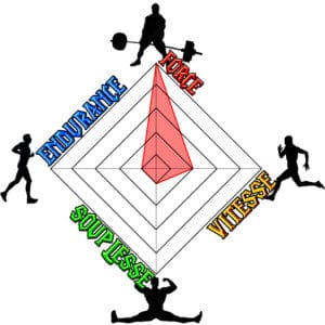 Tout savoir sur les qualités physiques et la performance sportive