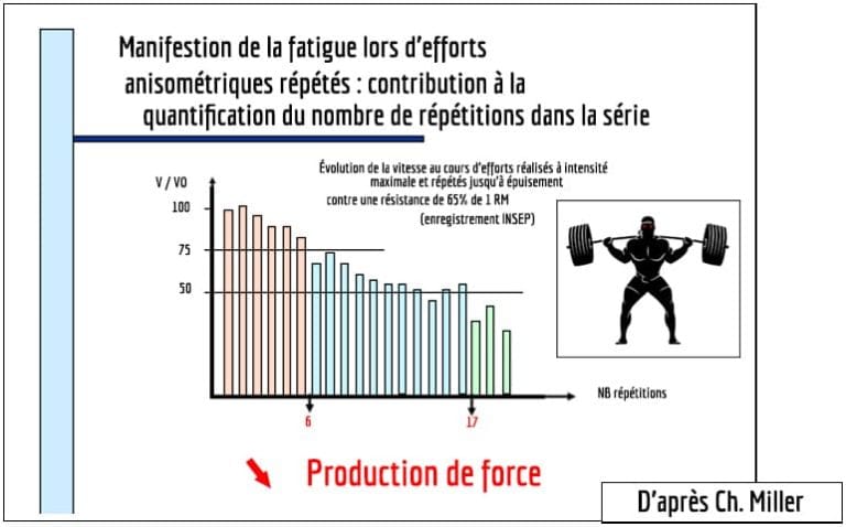 Tout savoir sur la force et la performance sportive