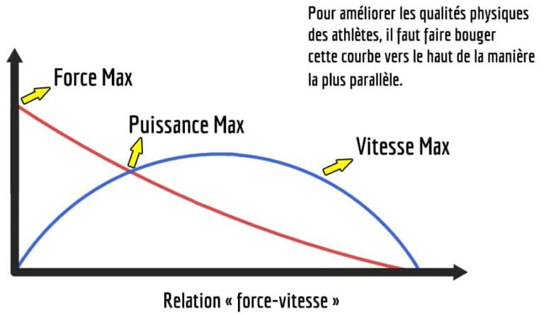 Tout savoir sur la force et la performance sportive