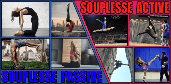 Tout savoir sur la souplesse et la performance sportive