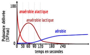 Comprendre les filières énergétiques